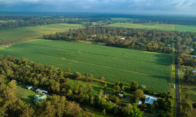 Agribusiness For sale — 50 Bosel Road TINANA QLD 4650 | Australia ...