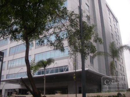 Office For Lease — Park Avenue, McKinley Hill, Taguig City, Philippines ...